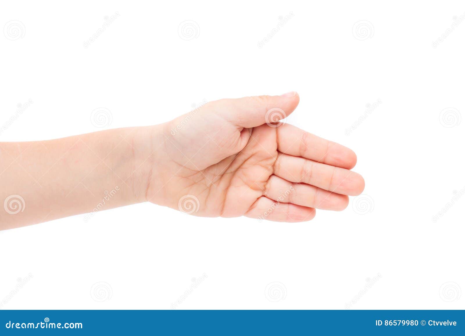 Hands of the Child Isolated Stock Photo - Image of adult, palm: 86579980