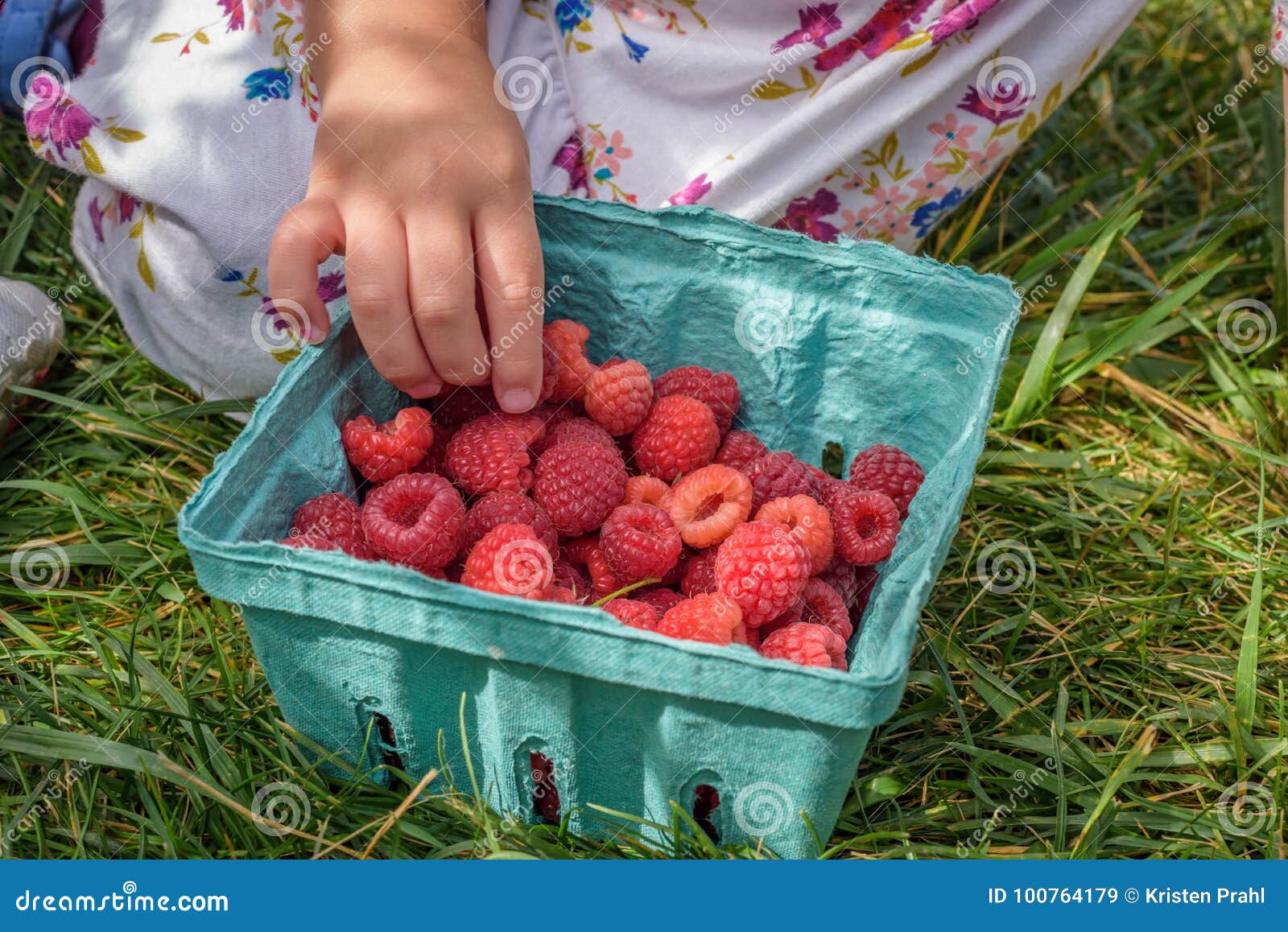 Child with Fresh Raspberries Stock Image - Image of delicious, daylight ...
