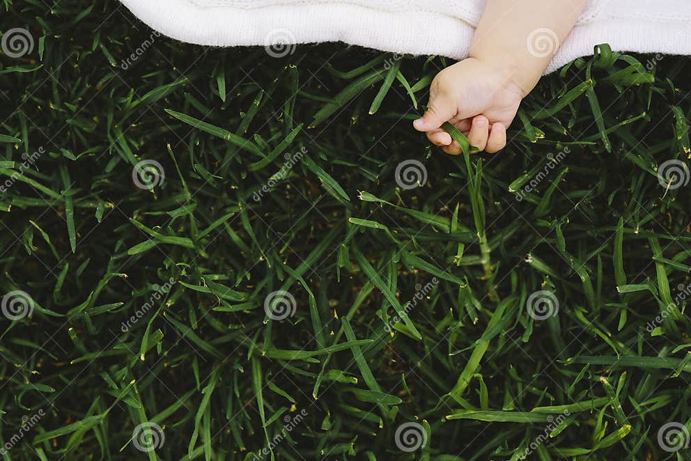 Hands of Children Doing Things. Stock Photo - Image of play, happiness ...