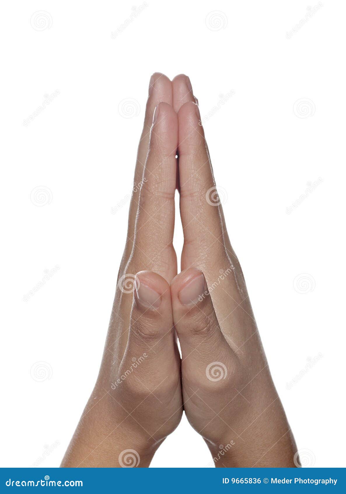 Hands clasped in prayer stock photo. Image of catholic - 9665836