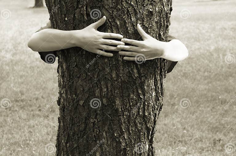 Hands clasping the tree stock photo. Image of ecology, retain - 188172