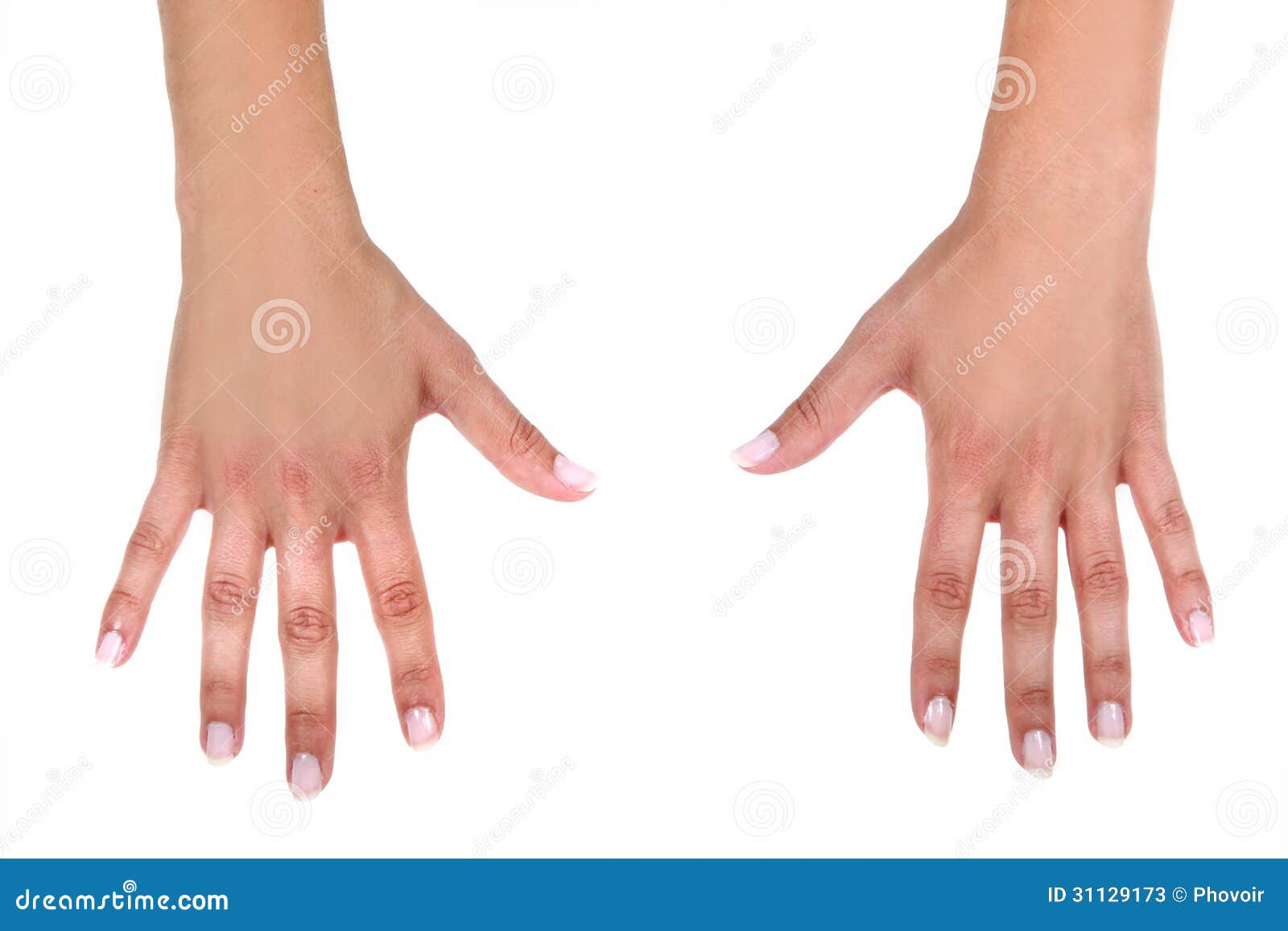 Hands close-up stock image. Image of human, white, strength - 31129173