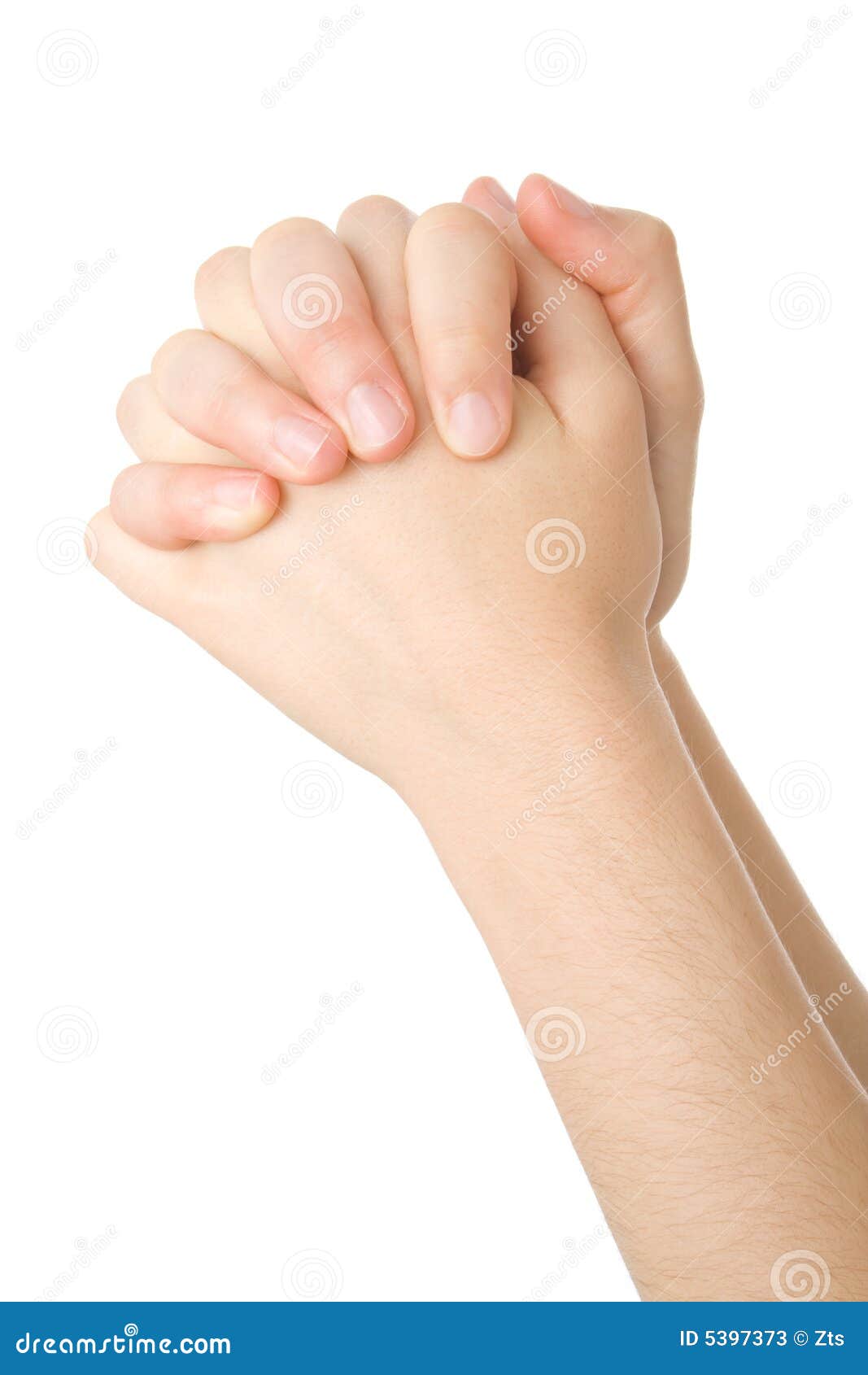Hands closed in prayer stock image. Image of prayer, pray - 5397373
