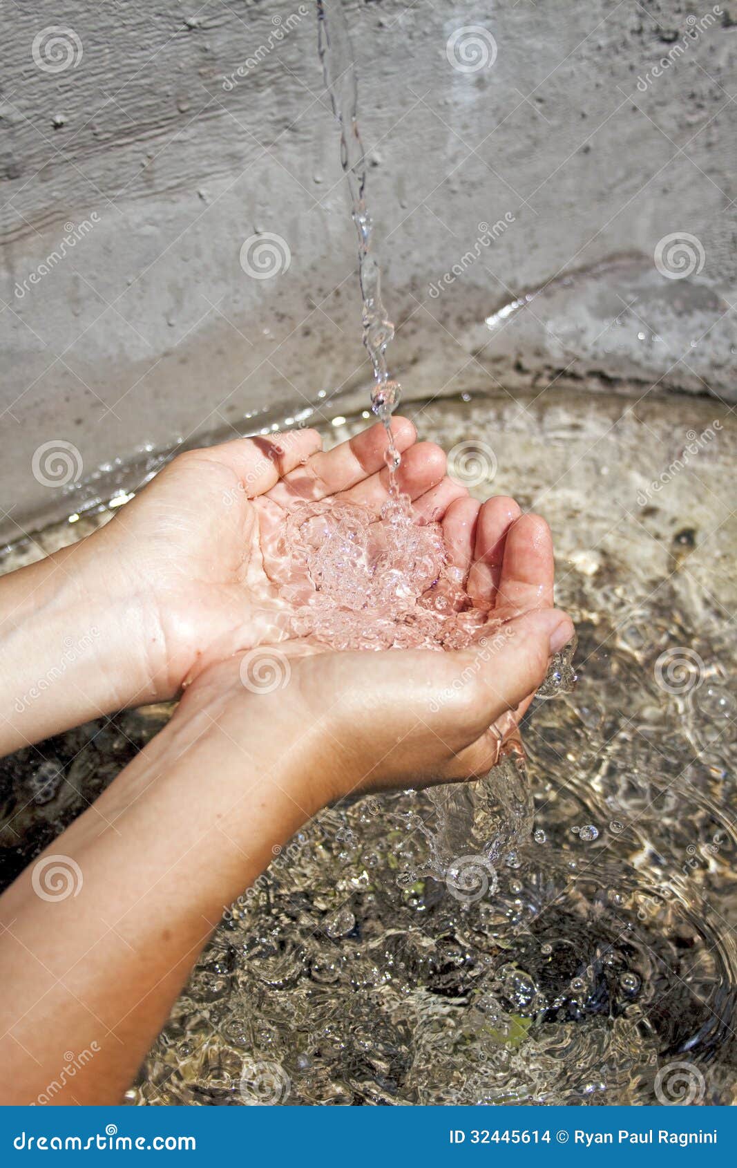 Hands that collect water stock photo. Image of liquid - 32445614