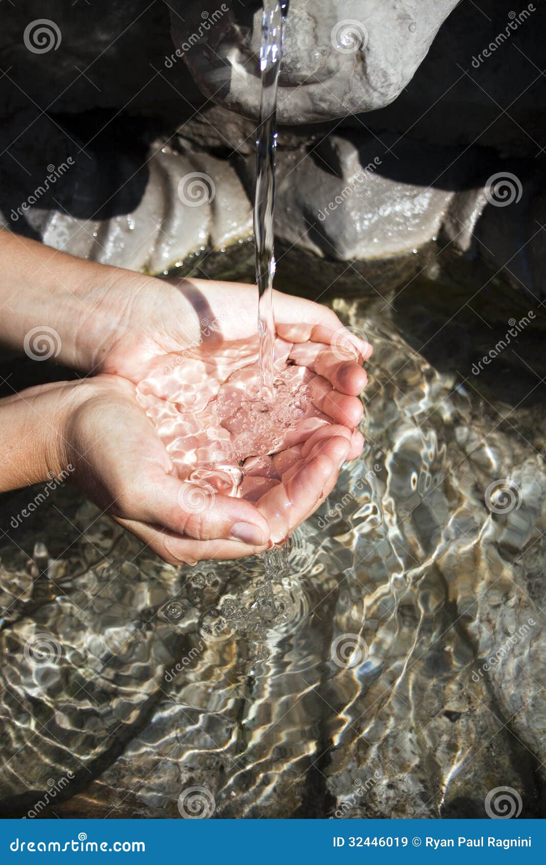 Hands collecting water stock image. Image of liquid, drink - 32446019
