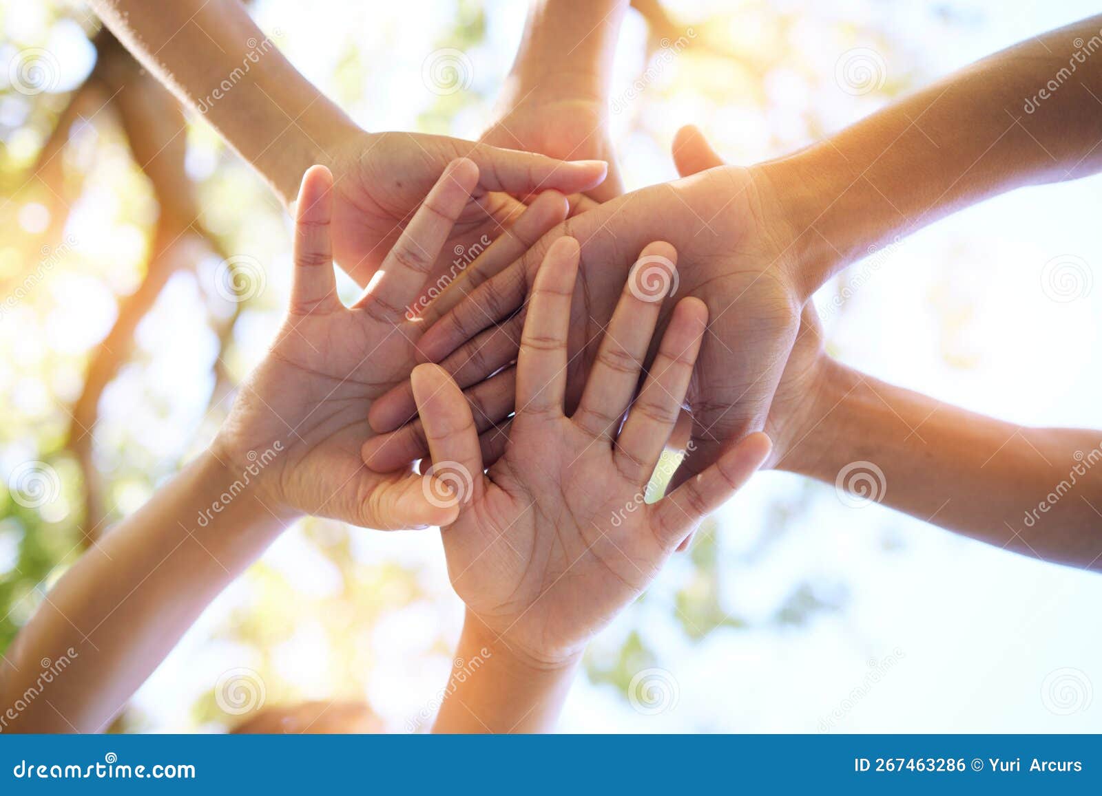 Hands, Community and Group in Unity for Trust, Support or Teamwork ...