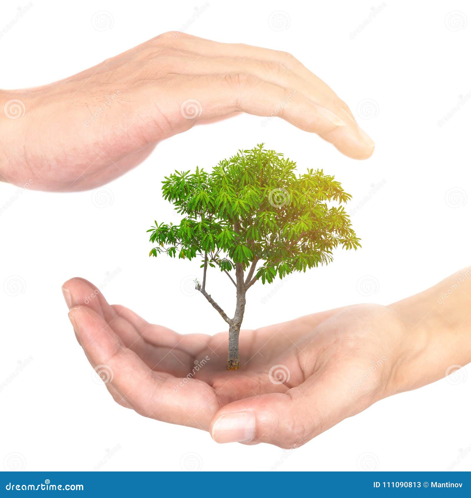 Hands Concept for Saving Environment Stock Image - Image of power, life ...
