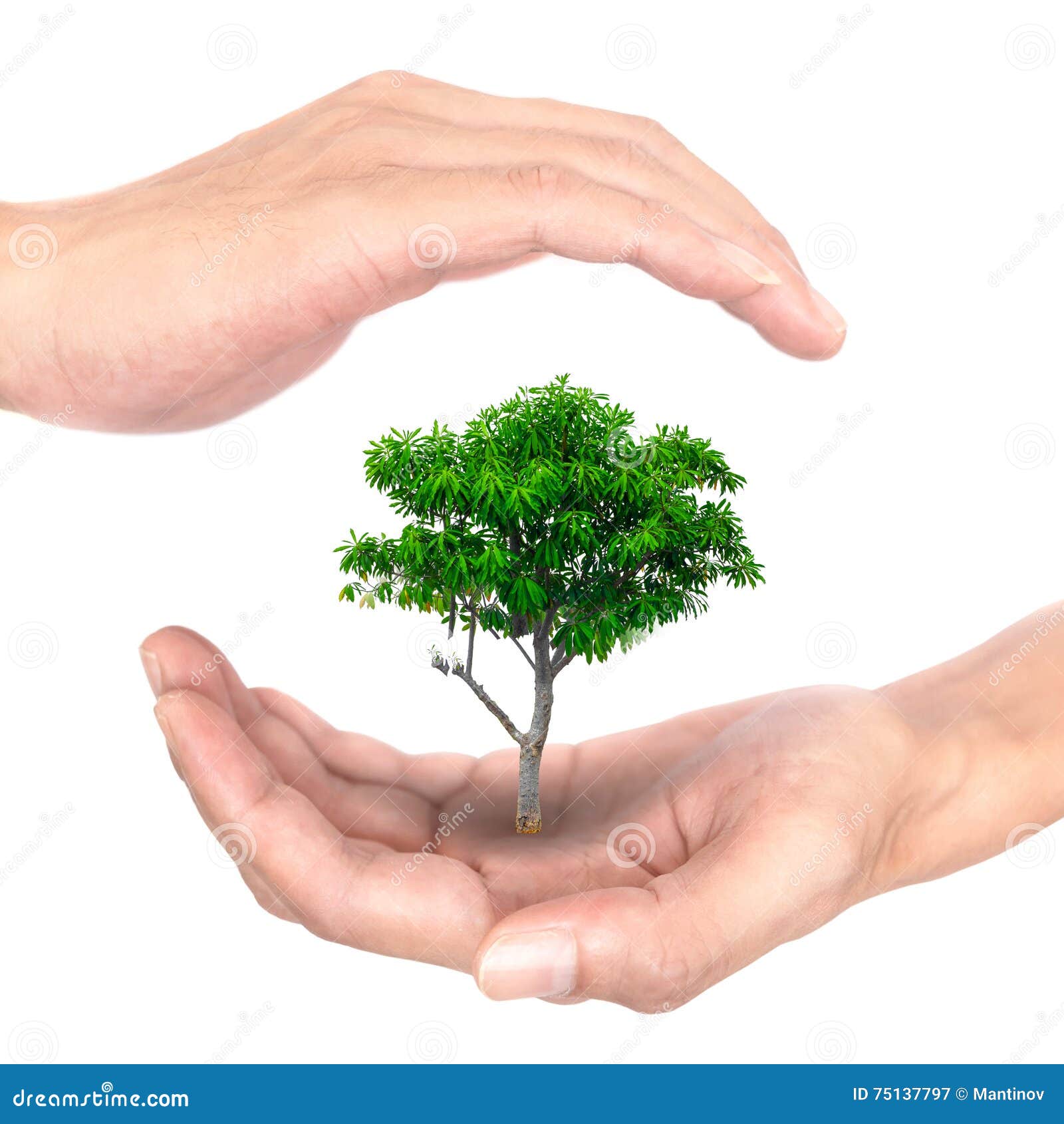 Hands Concept for Saving Environment Stock Image - Image of energy ...