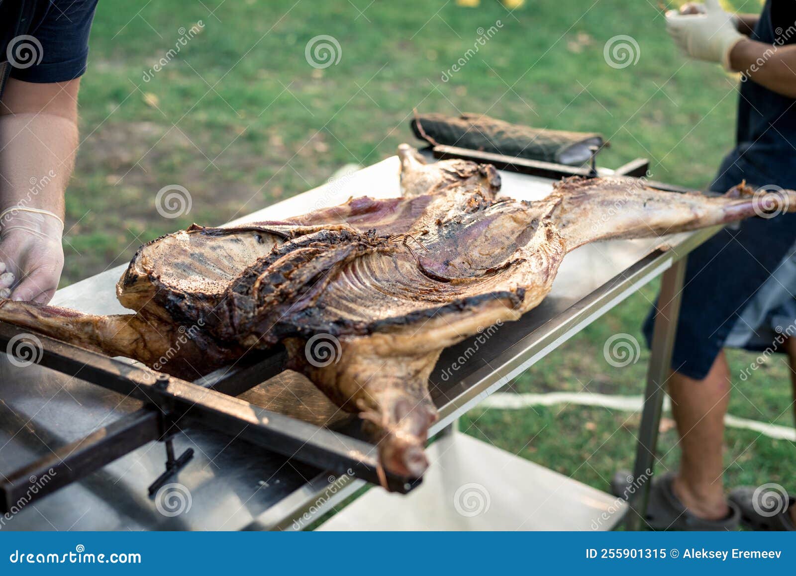 The Hands of the Cook Cut the Greased Carcass of the Rabbit Stock Image ...