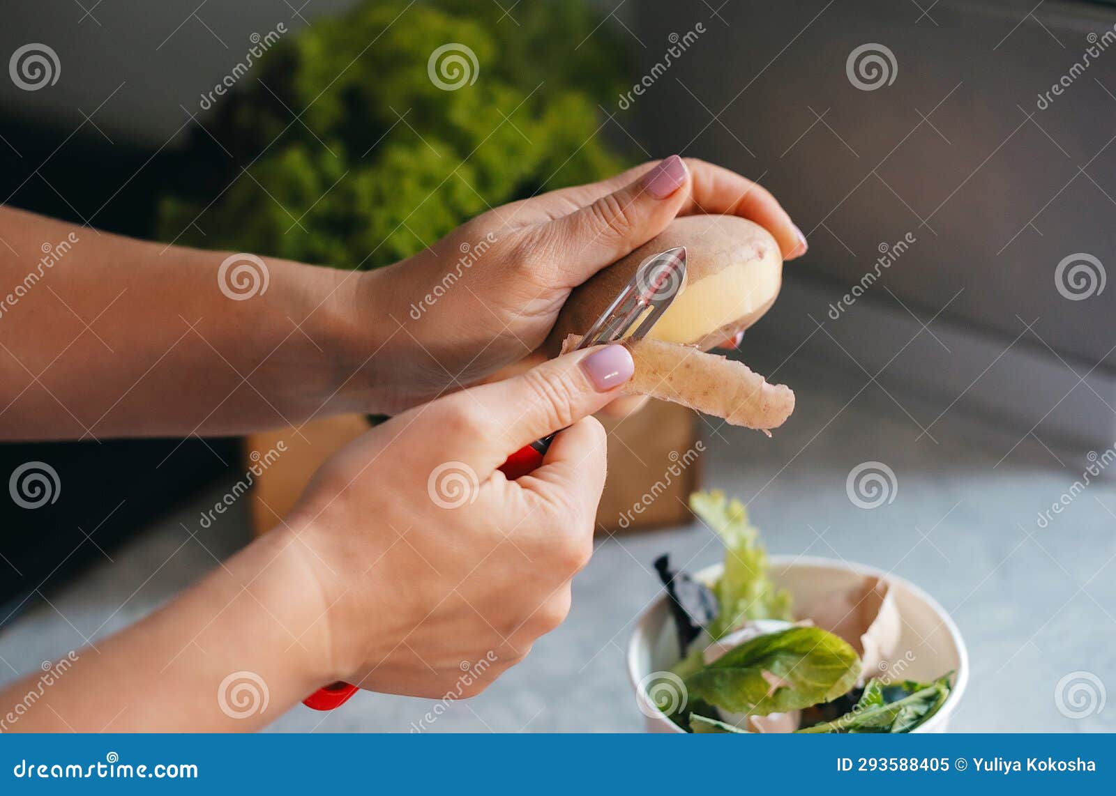 Hands of Cook Cut Peel of Raw Potatoes , Put Food Waste in Separate ...