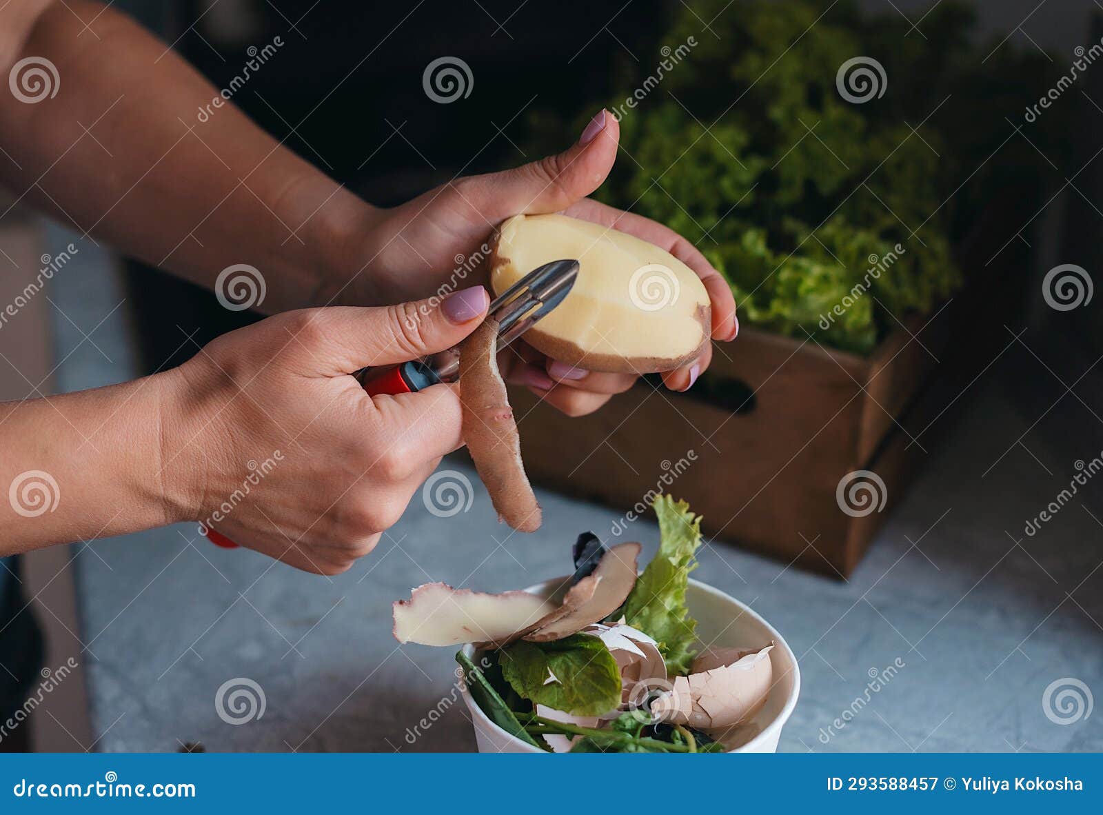 Hands of Cook Cut Peel of Raw Potatoes , Peeler, Put Food Waste in ...