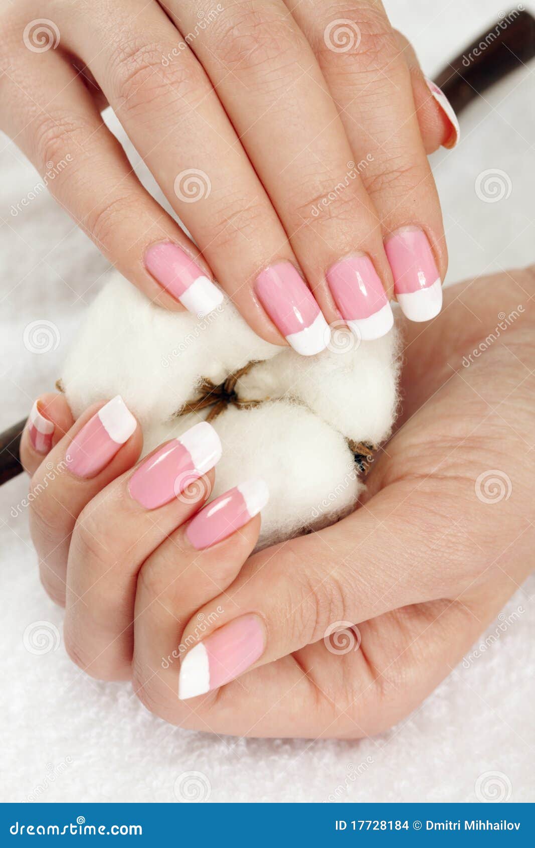 Hands with cotton crop stock photo. Image of bodycare - 17728184