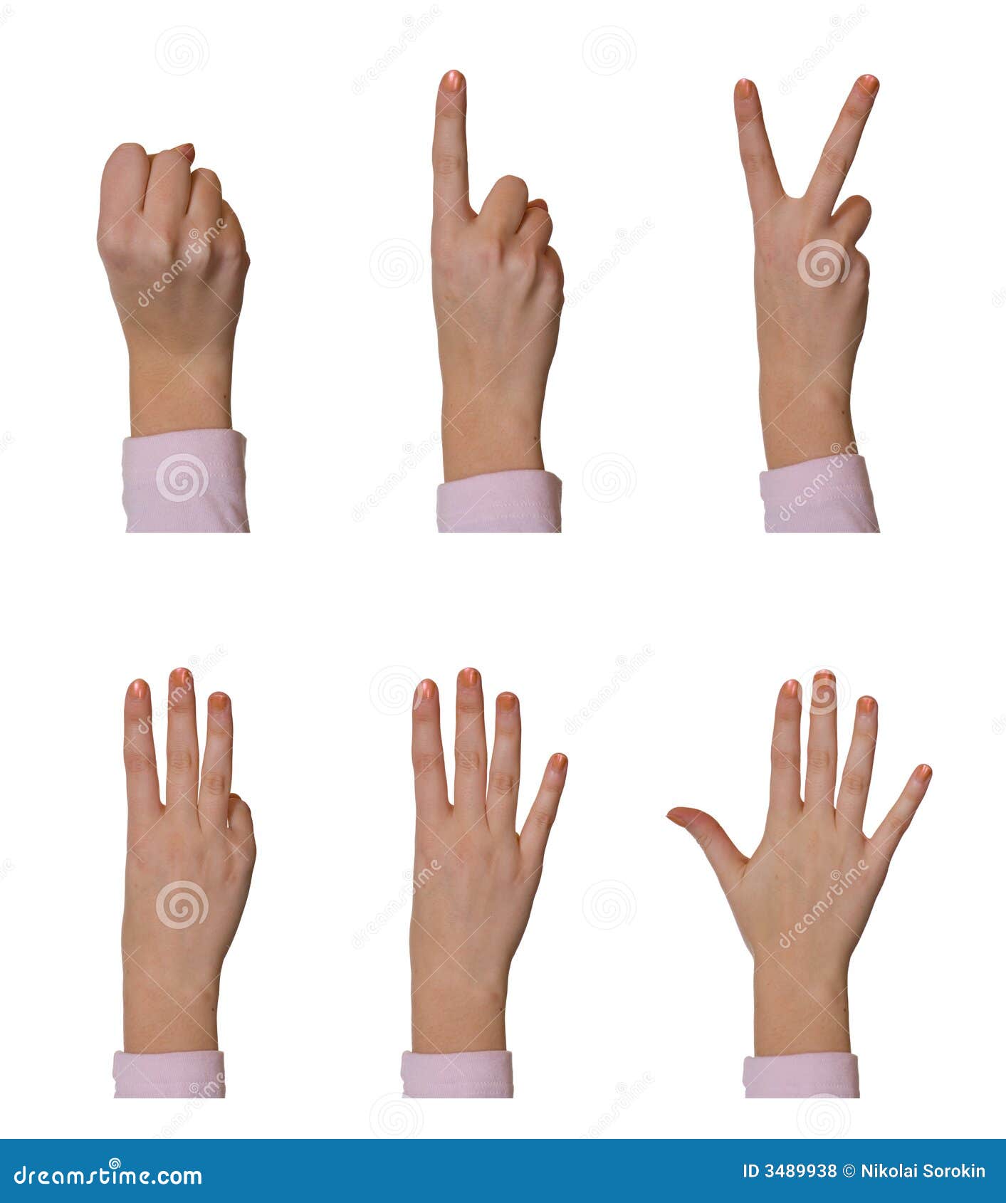Hands, counting 0 to 5 stock photo. Image of number, business - 3489938