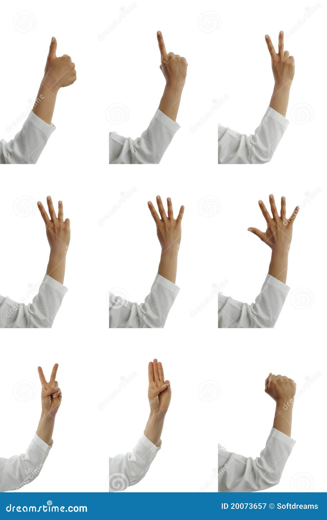 Hands, counting 1 to 5 stock image. Image of five, calculators - 20073657