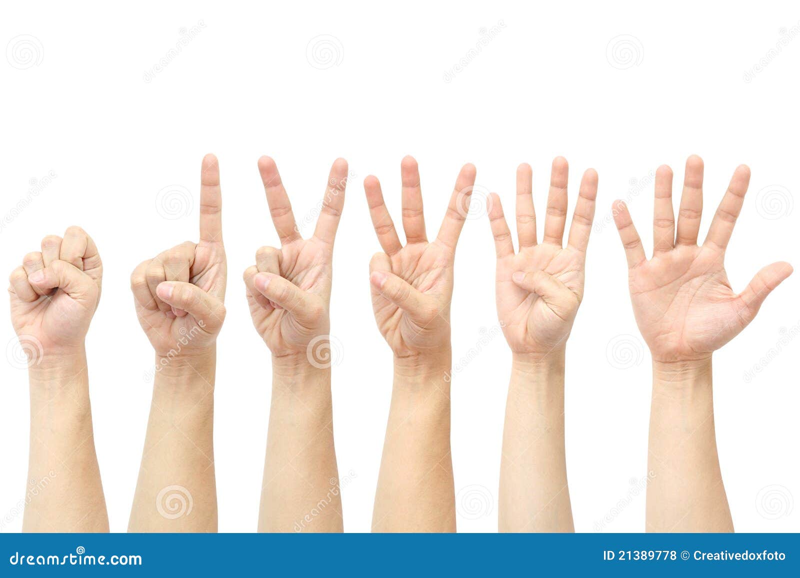Hands counting stock photo. Image of gesturing, female - 21389778