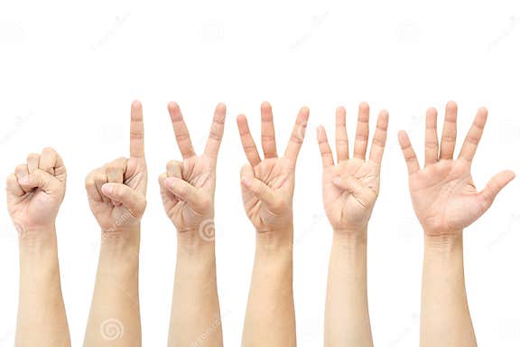 Hands counting stock photo. Image of gesturing, female - 21389778