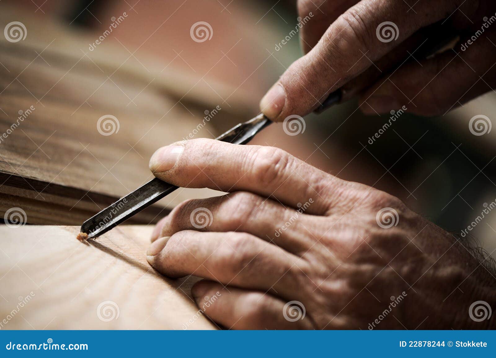 Craftsman Royalty-Free Stock Photo | CartoonDealer.com #31274751