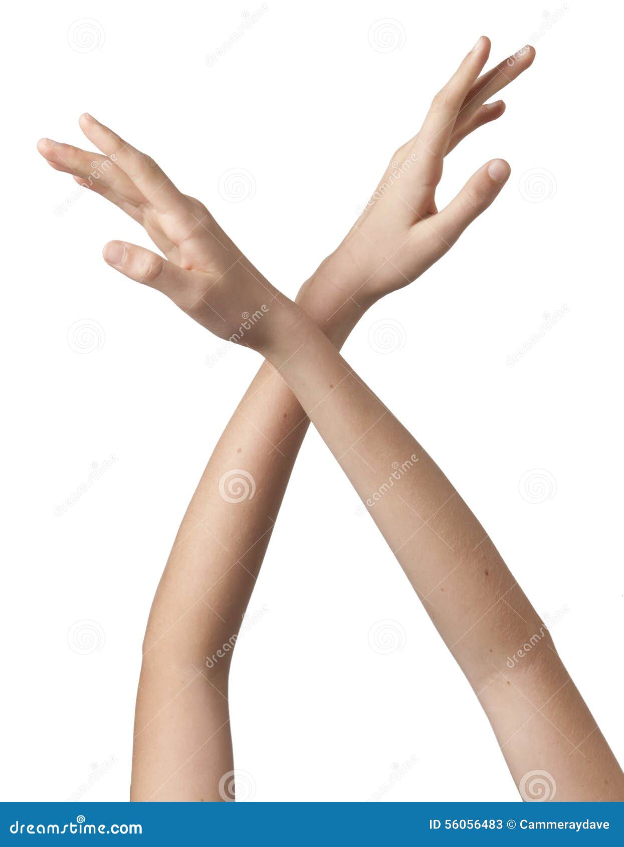 Hands Crossed Arms stock image. Image of grace, graceful - 56056483