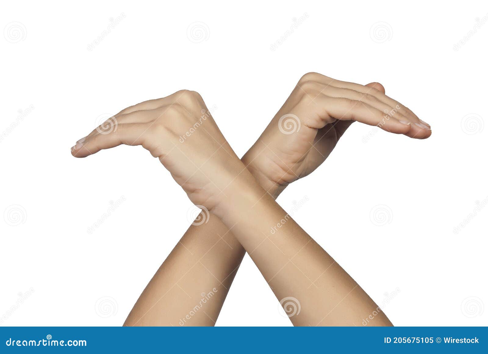 Hands Crossed on a White Background Stock Image - Image of abstract ...