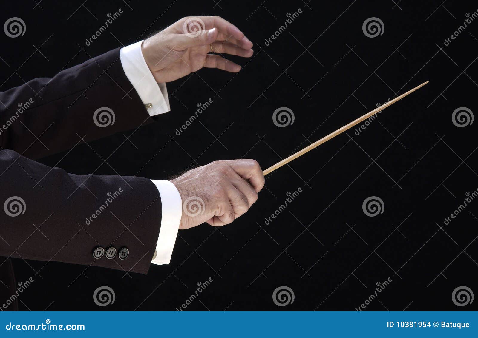 Hands of the director stock photo. Image of hand, suit - 10381954
