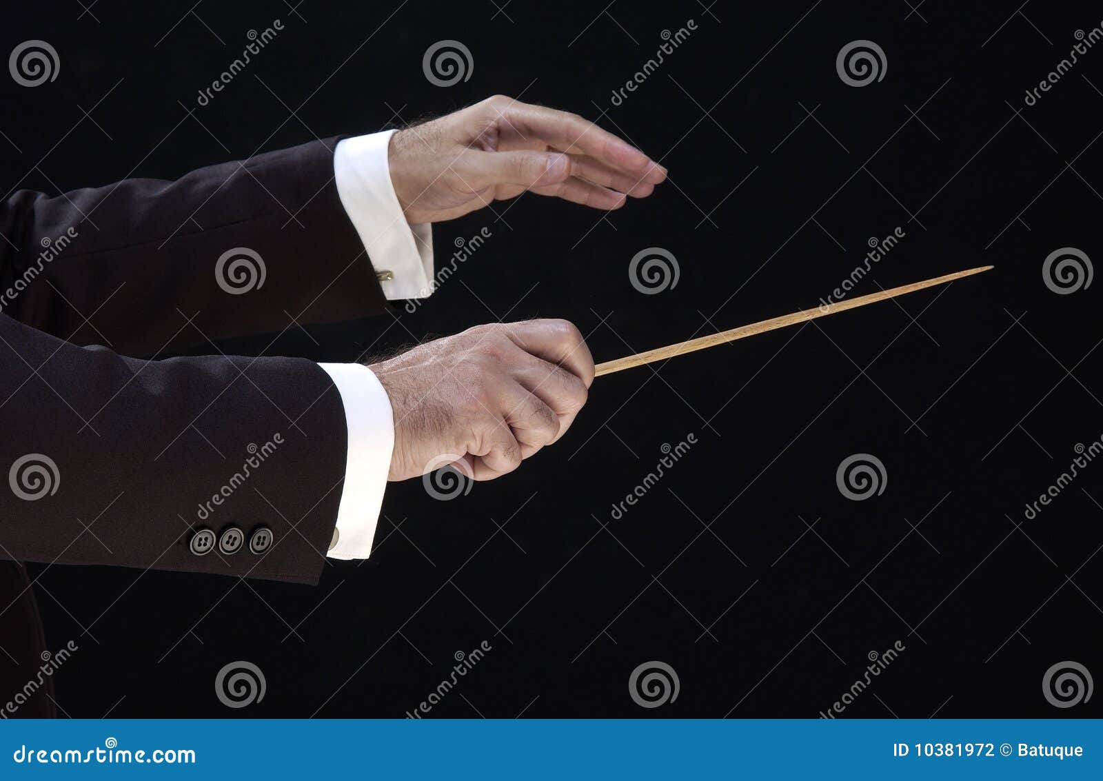 Hands of the director stock photo. Image of leader, teacher - 10381972