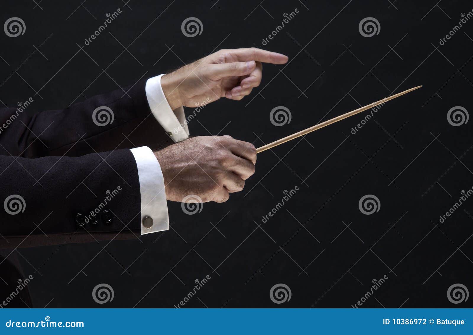 Hands of the director stock photo. Image of suit, leader - 10386972