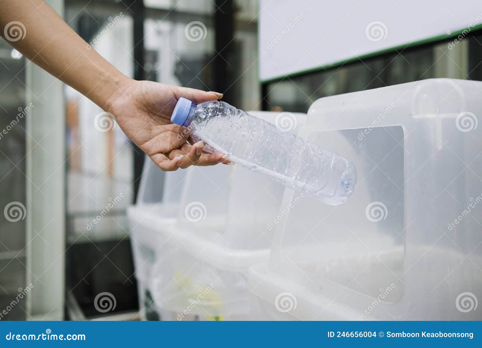 Hands Dropping Used Clear Plastic Bottles into the Trash Stock Photo ...