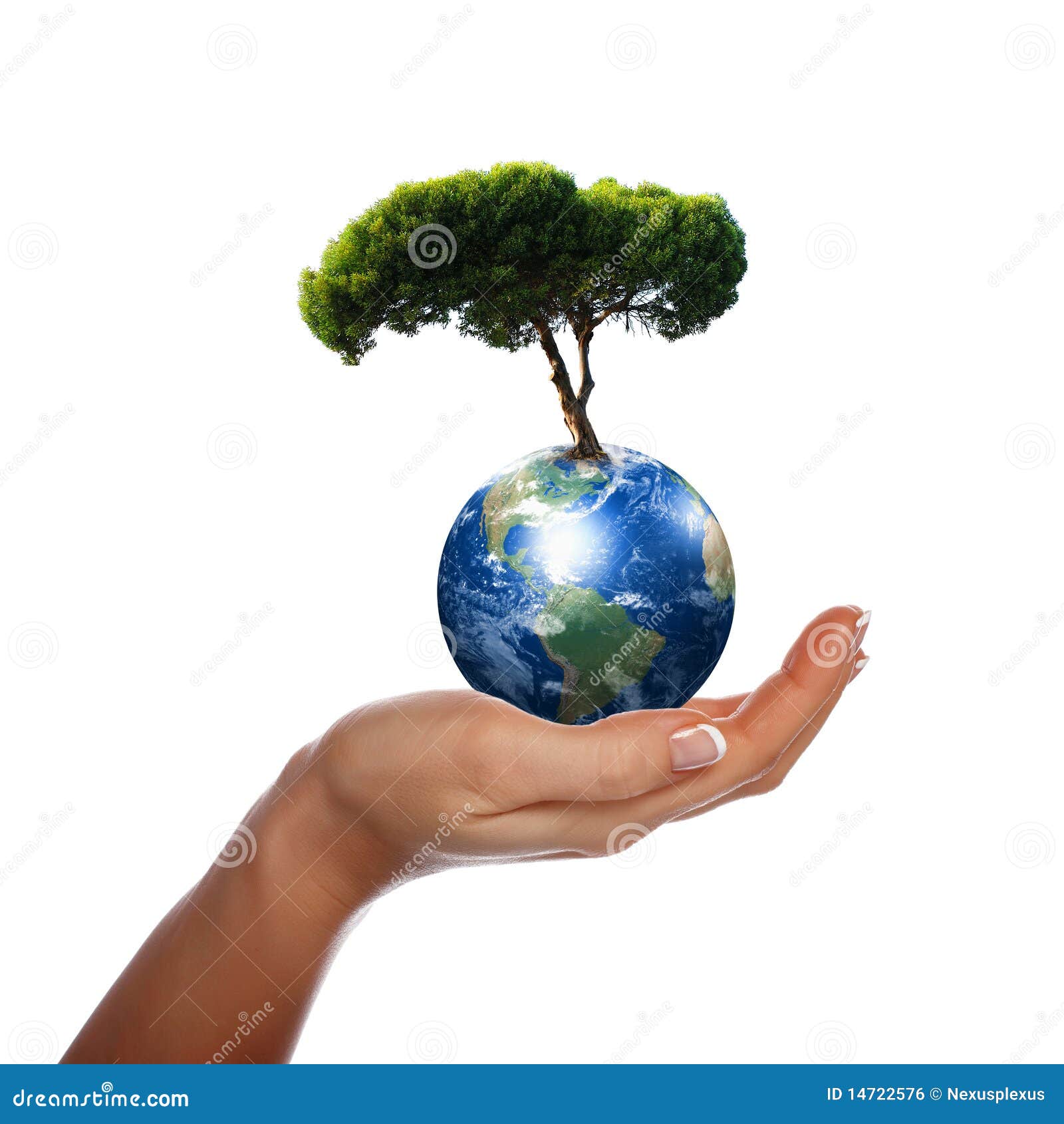 Hands, Earth and the tree stock illustration. Illustration of green ...