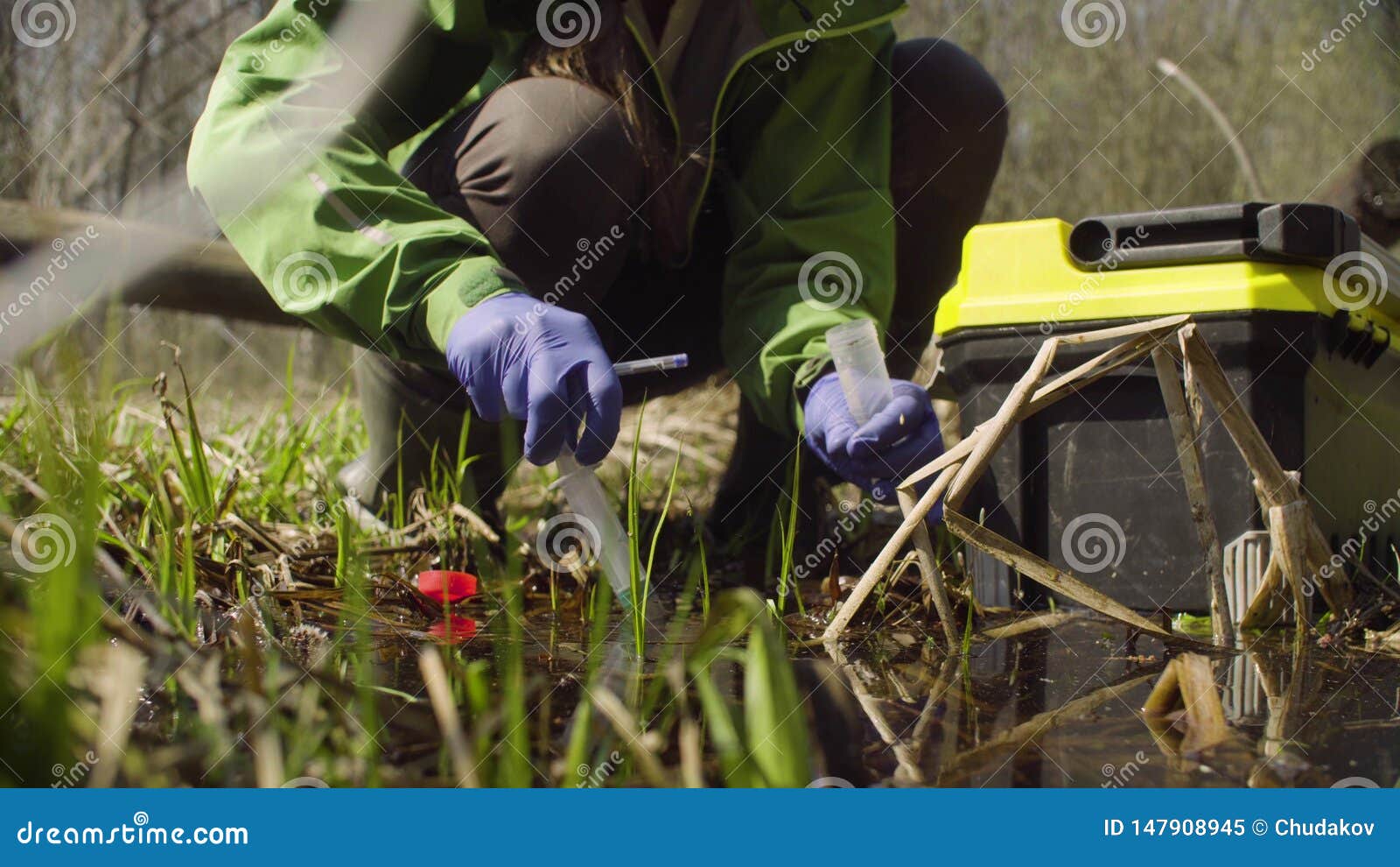 Hands of Ecologist Getting Samples of the Plants Stock Image - Image of ...