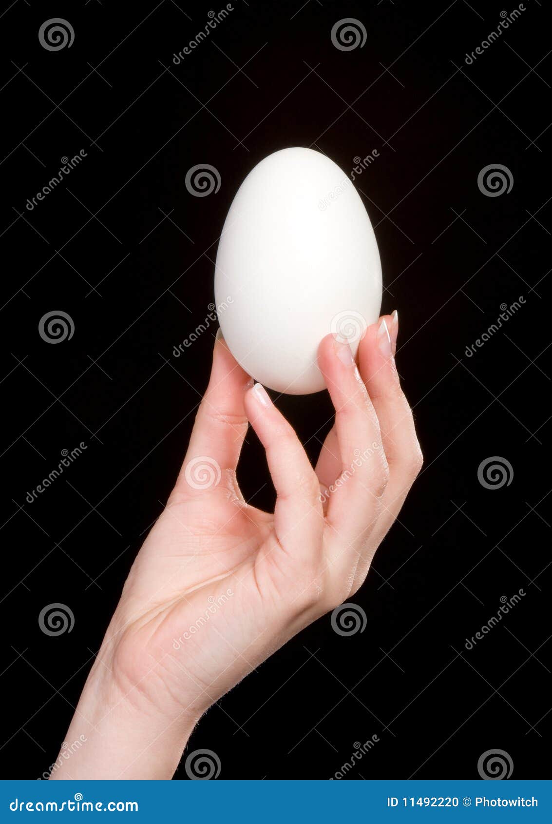 Hands with egg stock photo. Image of food, success, symbol - 11492220