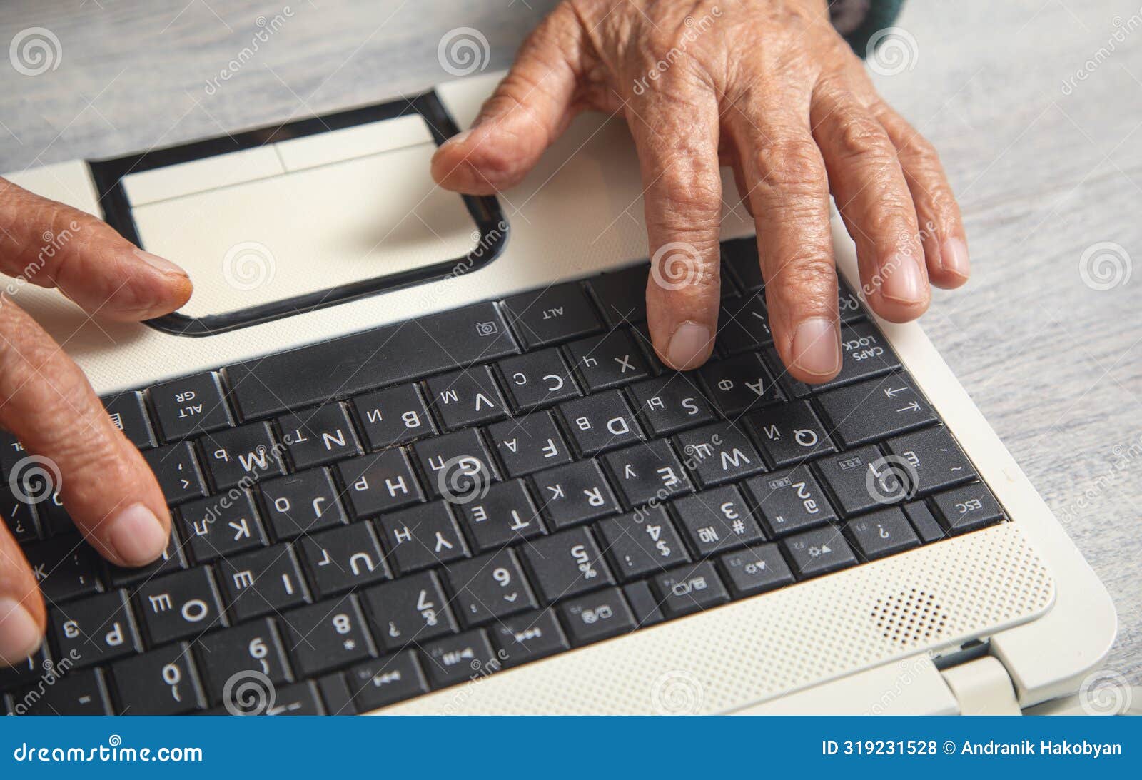 Hands of Elderly Woman Typing in Computer Keyboard Stock Photo - Image ...