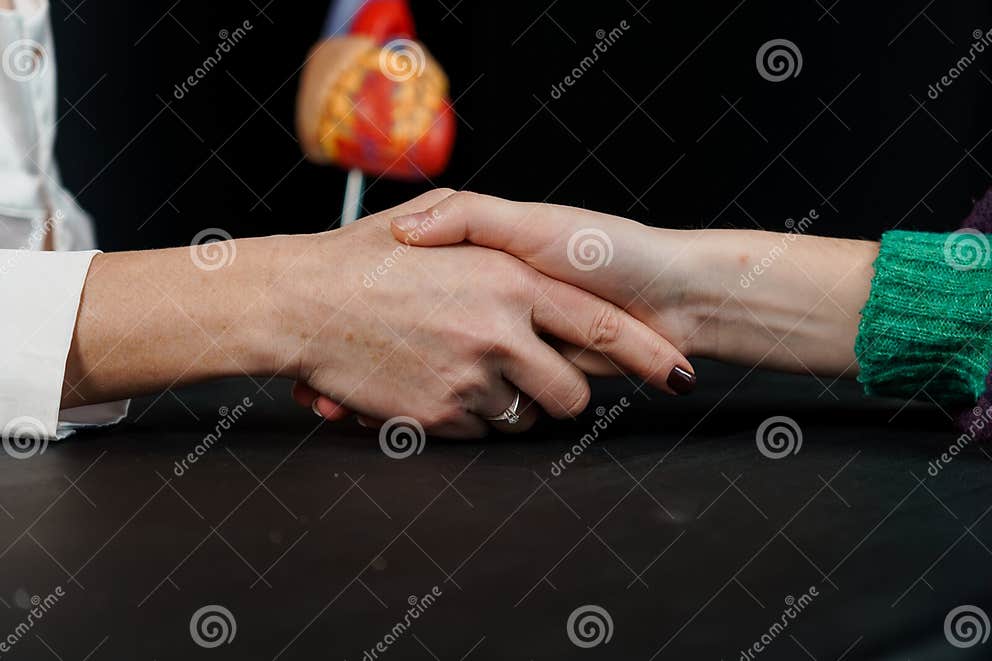 Hands Engaged in a Supportive Gesture with a Heart Model in the ...