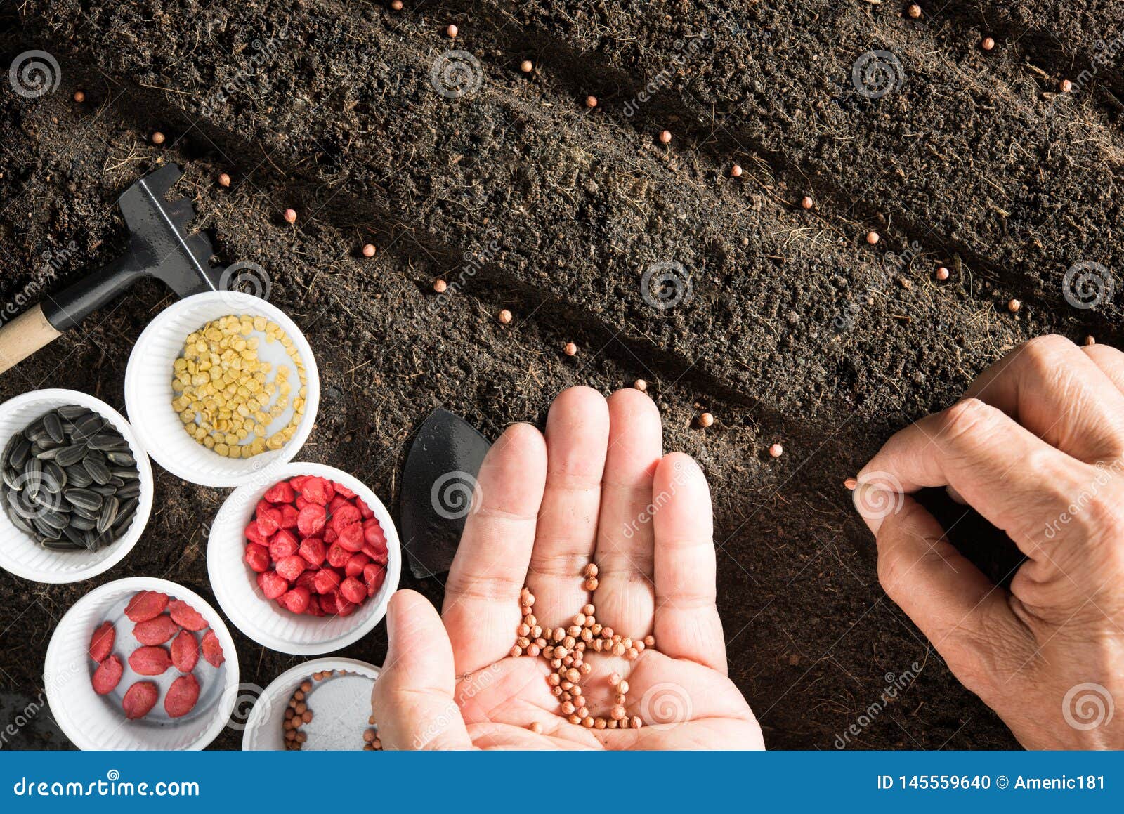 1,209 Hands Planting Seeds Dirt Photos - Free & Royalty-Free Stock ...