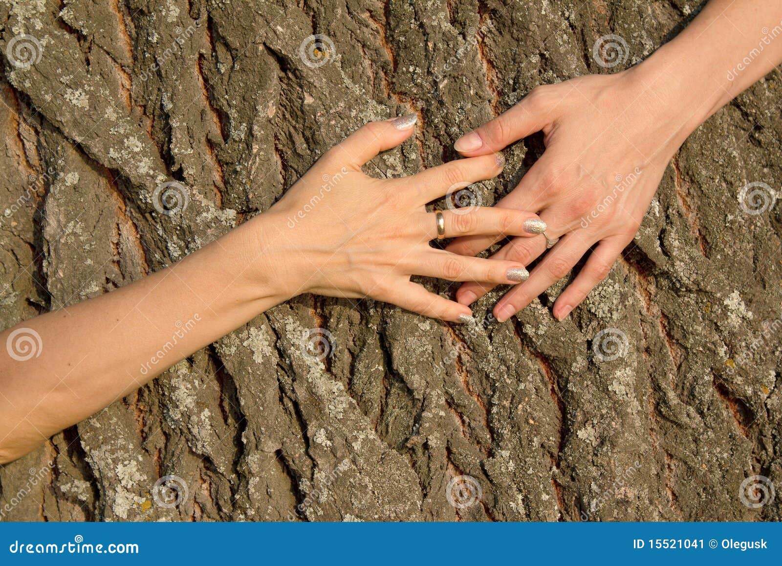 Hands Female Embracing Tree Stock Image - Image of female, abstract ...
