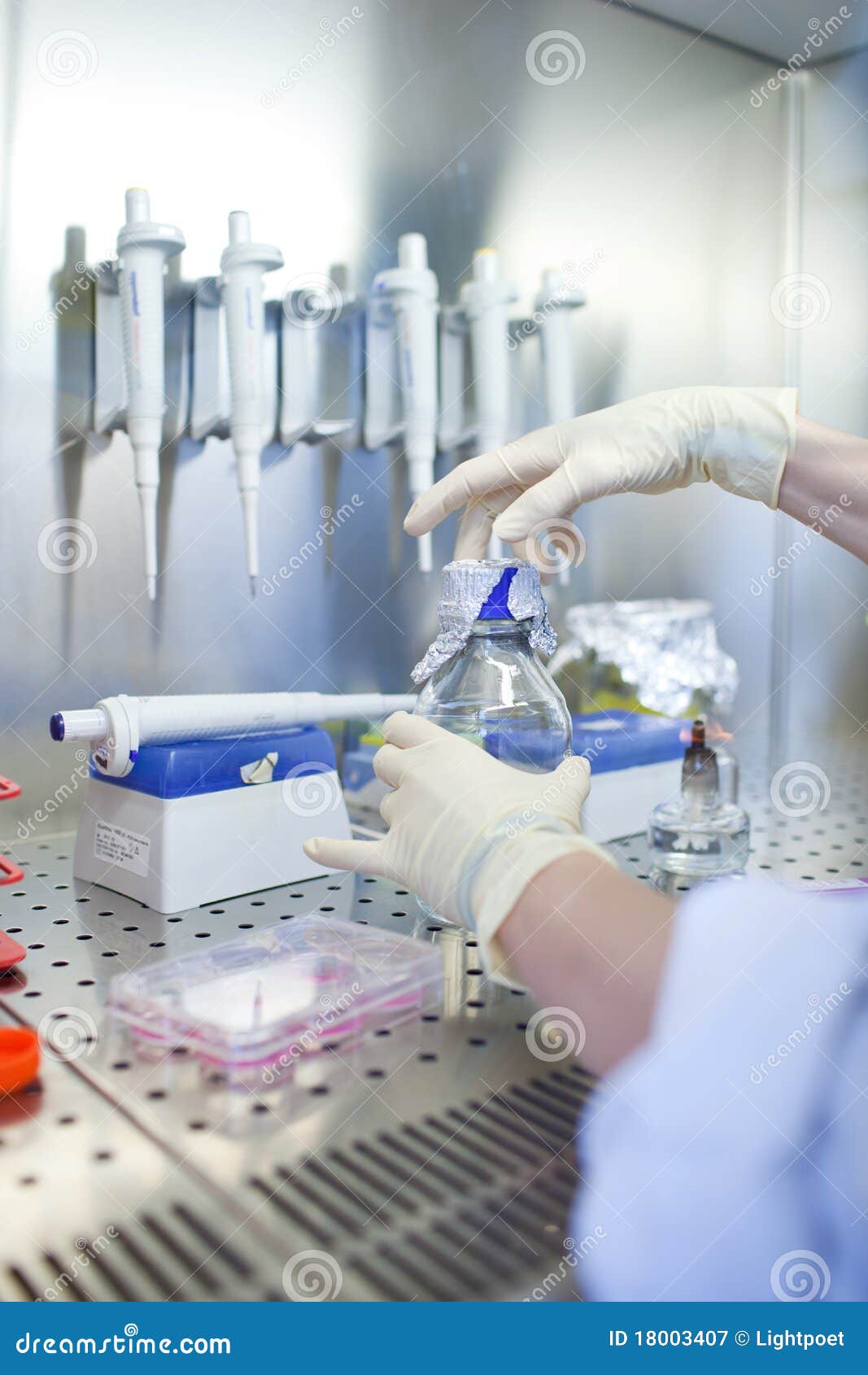 Hands of a Female Researcher Doing Research Stock Image - Image of ...
