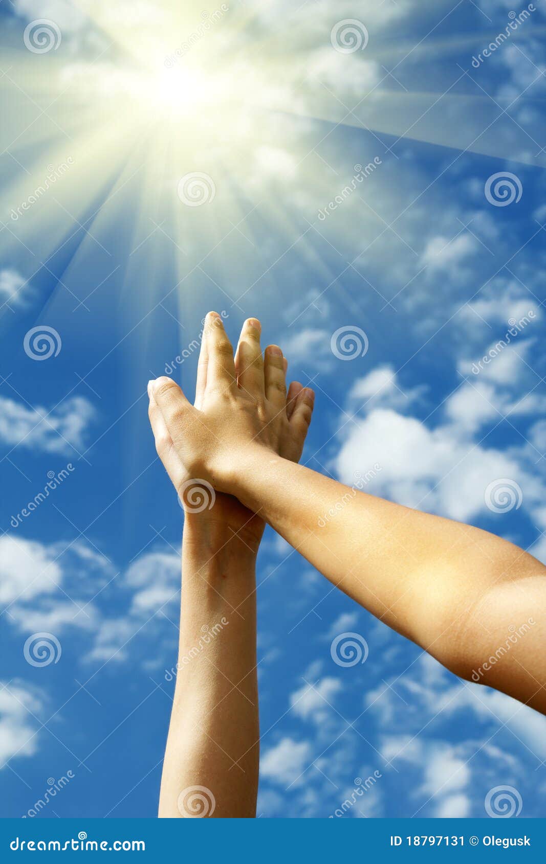 Hands female sky sun stock image. Image of clouds, female - 18797131