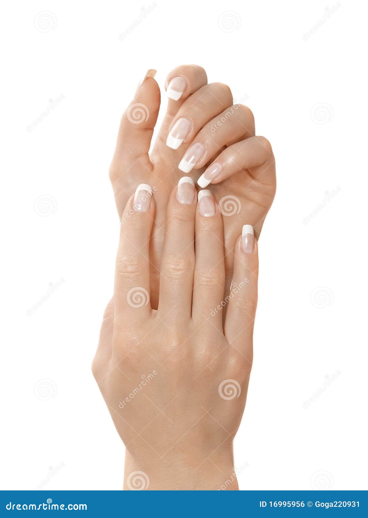 Hands and Fingers stock photo. Image of beauty, finger - 16995956