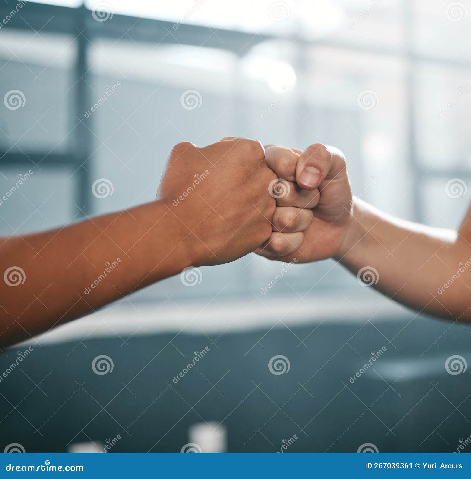 Hands Fist Bump And Team Fitness Motivation For Collaboration Success