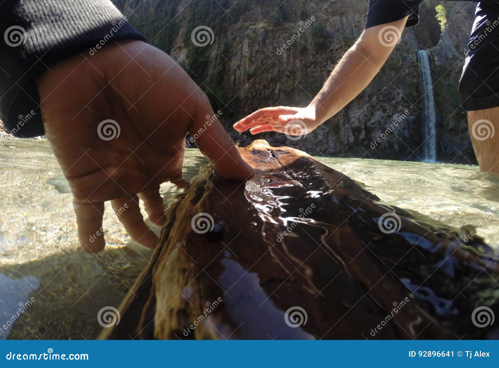 Hands on a Floating Tree Trunk at a River in Chile Stock Image - Image ...