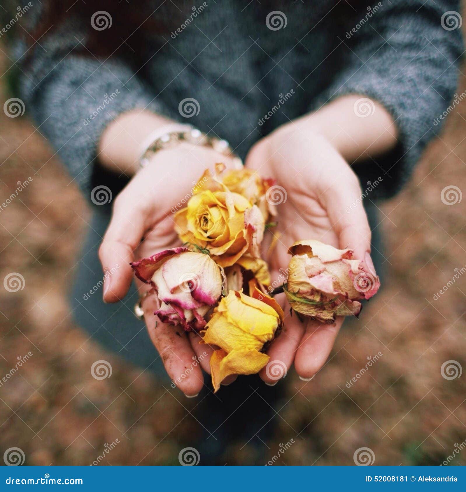 Hands with flowers stock image. Image of orange, flowers - 52008181