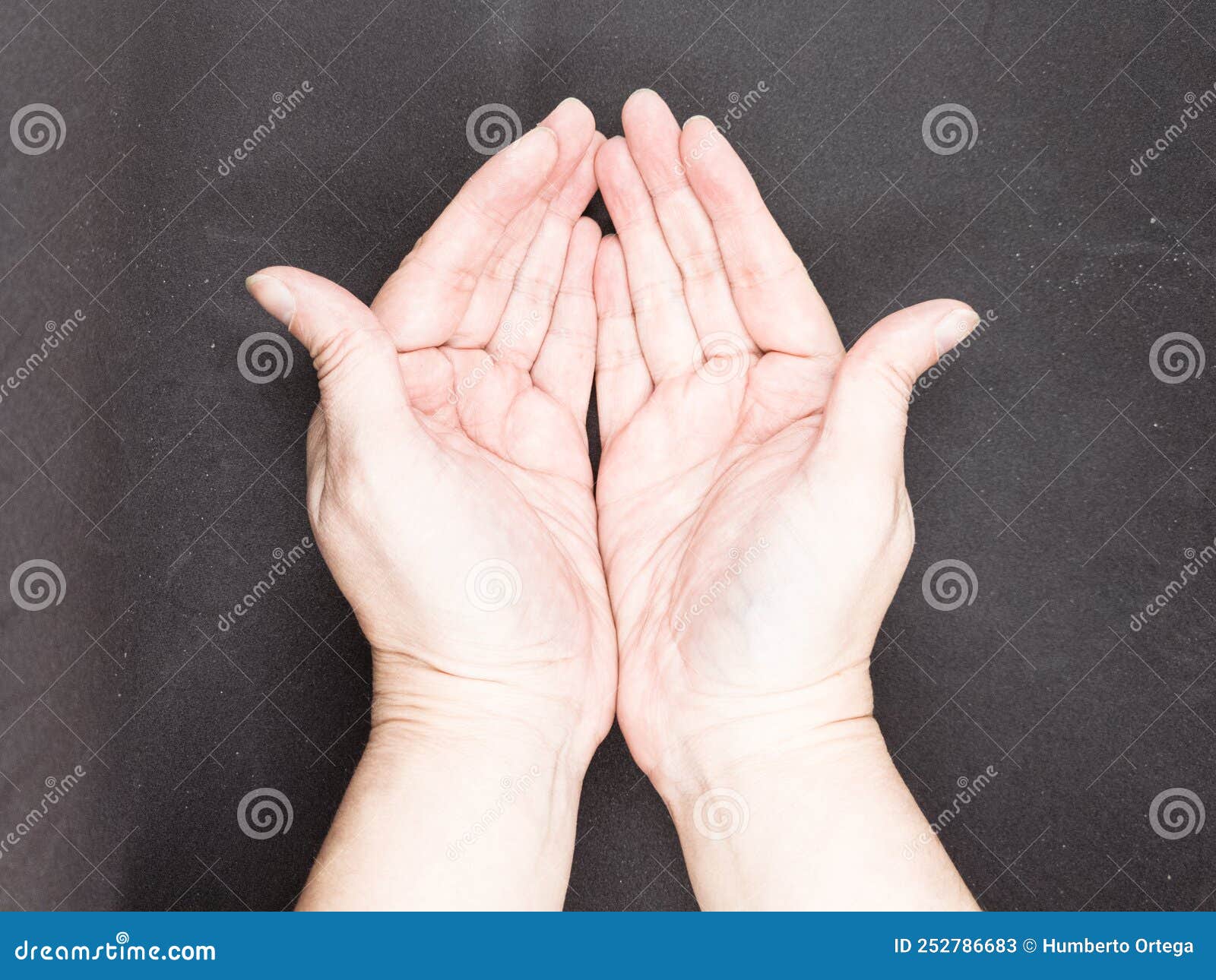 Hands in the Form of Receiving Something Stock Image - Image of form ...