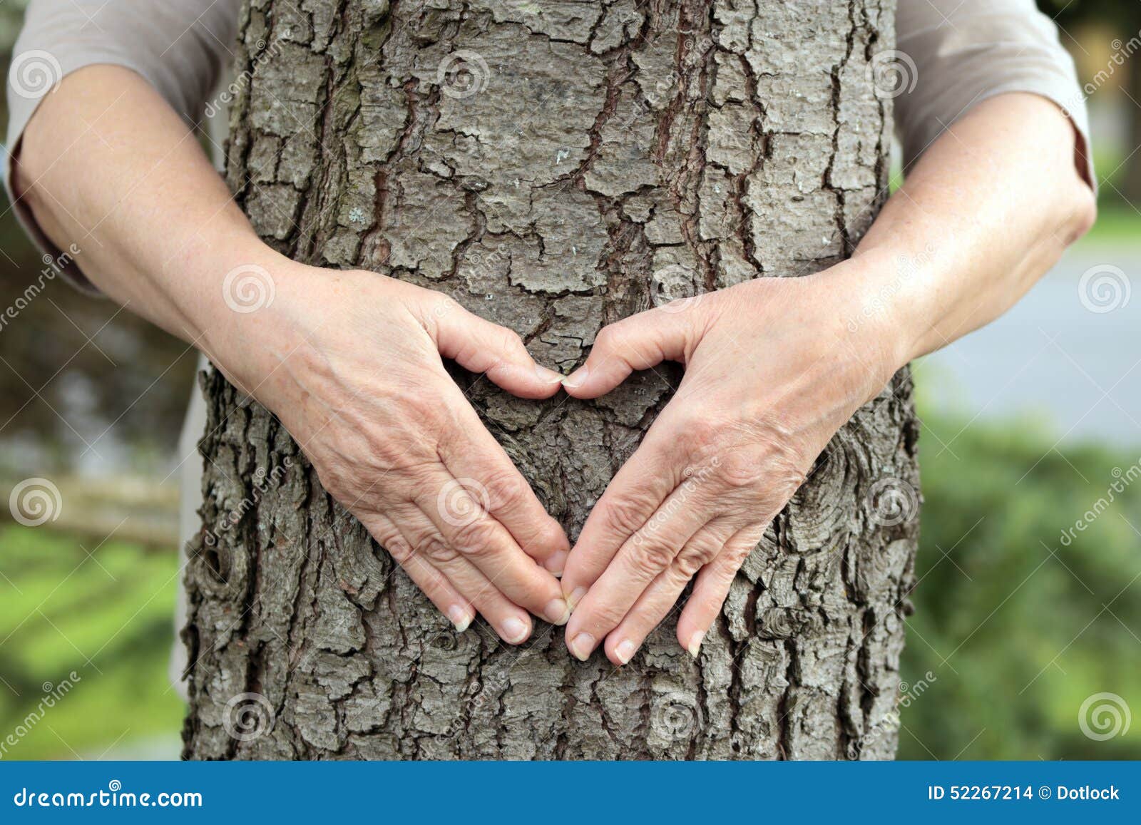 Hands Forming Heart on Tree Stock Photo - Image of life, mature: 52267214