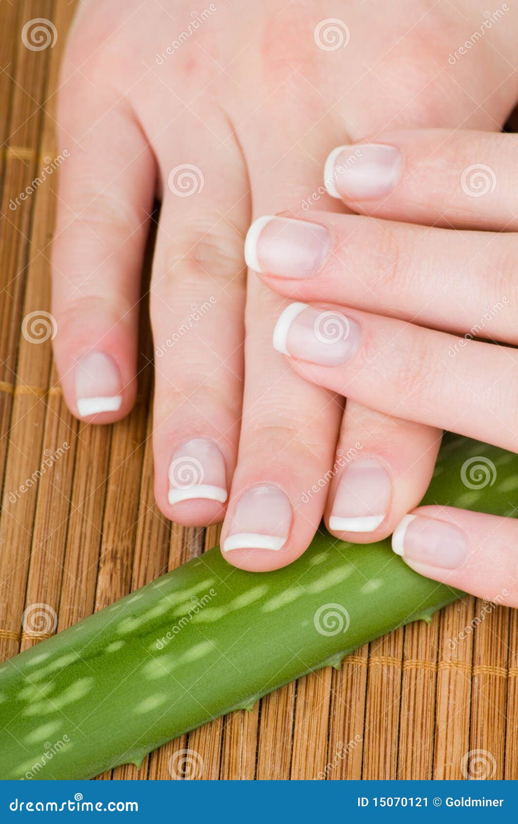 Hands with french manicure stock image. Image of beauty - 15070121