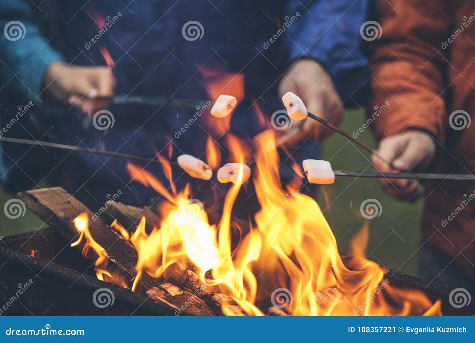 Hands of Friends Roasting Marshmallows Over the Fire in a Grill Stock ...