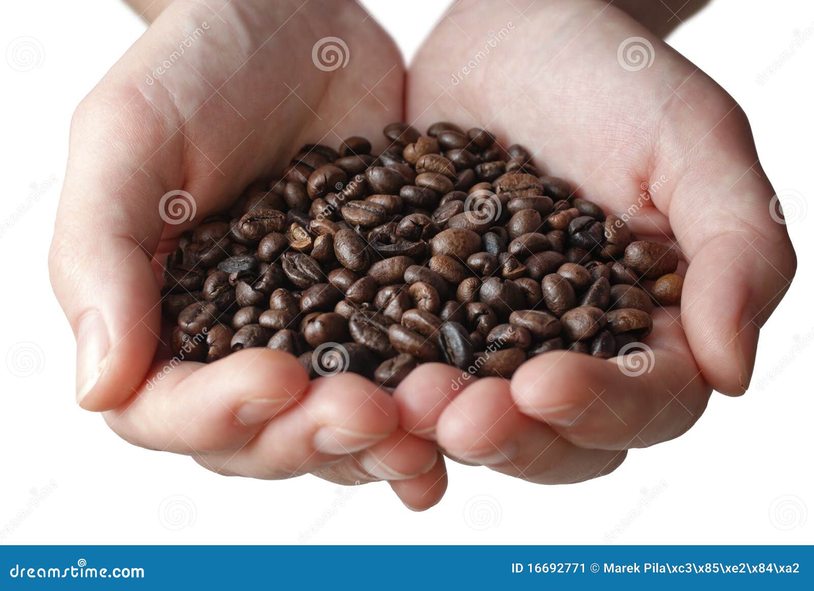 Hands full of coffee stock image. Image of brown, handful - 16692771