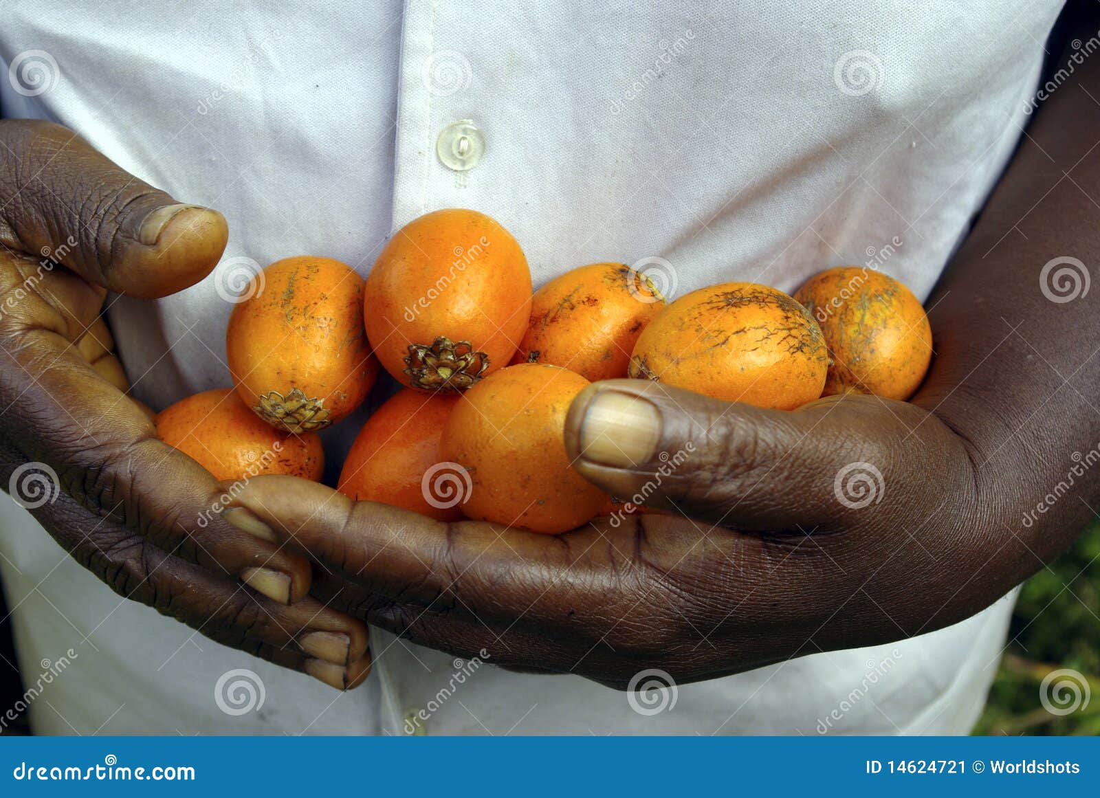 Hands full of fruits stock image. Image of feed, help - 14624721