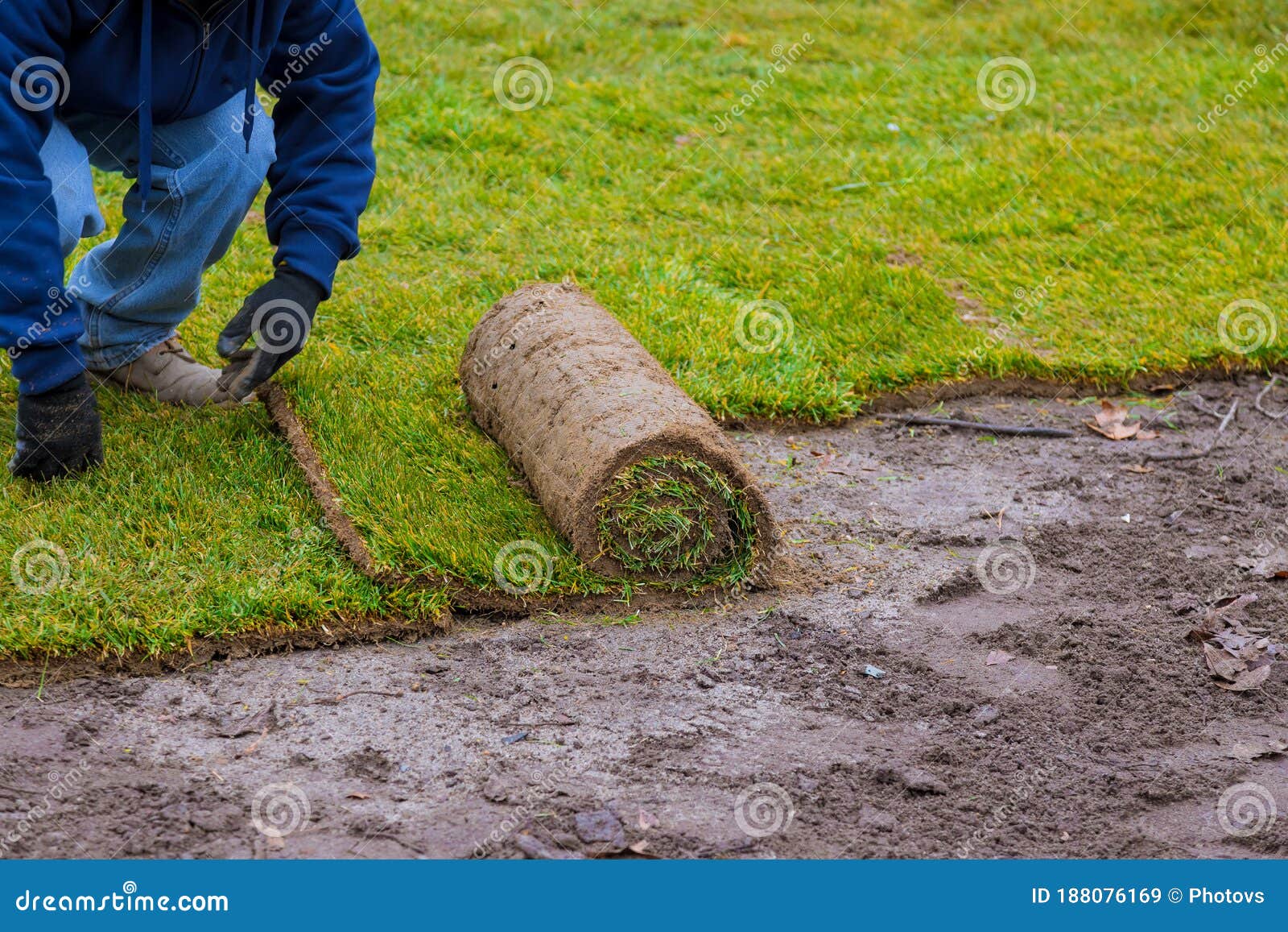 Hands in Gardening Laying Green Grass, Installing on the Lawn Stock ...