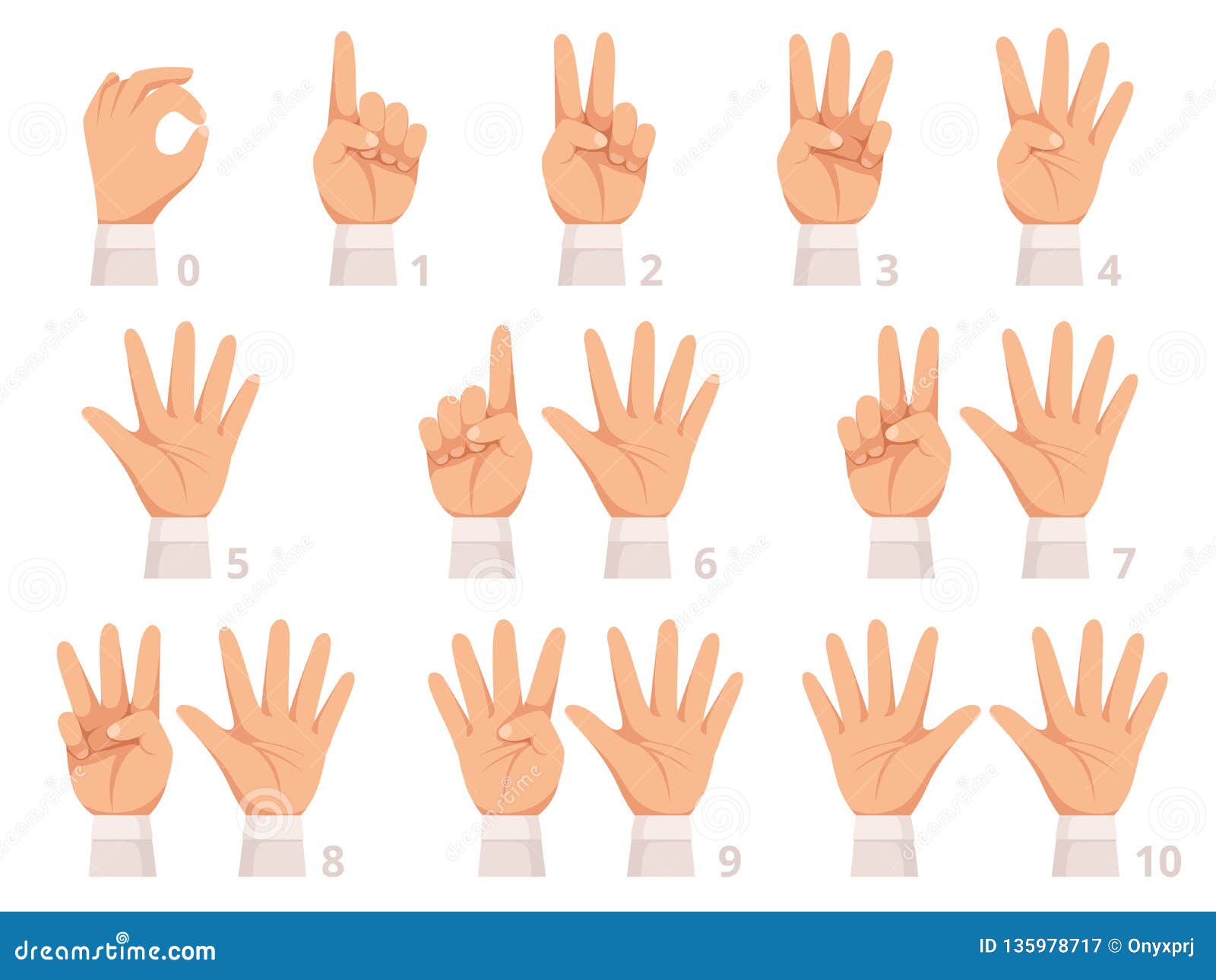 Hands Gesture Numbers. Human Palm and Fingers Show Different Numbers ... Hands Gesture Numbers. Human Palm and Fingers Show Different Numbers ...