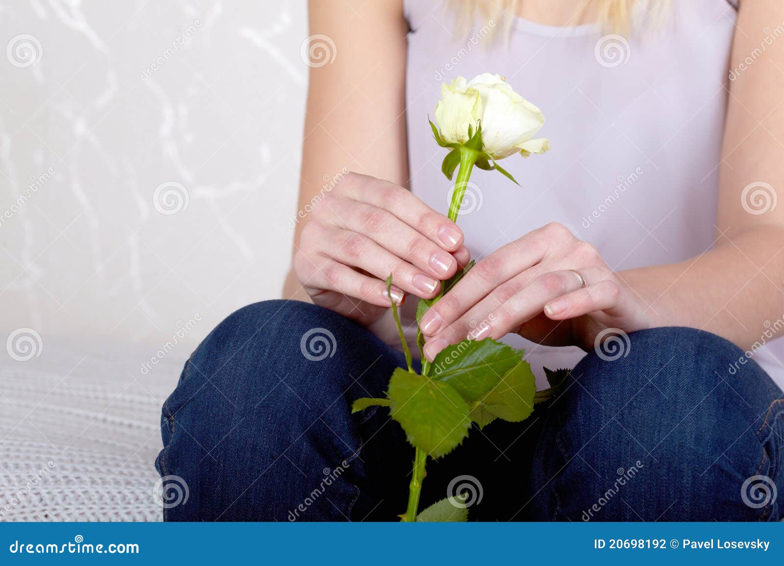 Hands of a Girl Holds Rose. Stock Photo - Image of leaves, interior ...