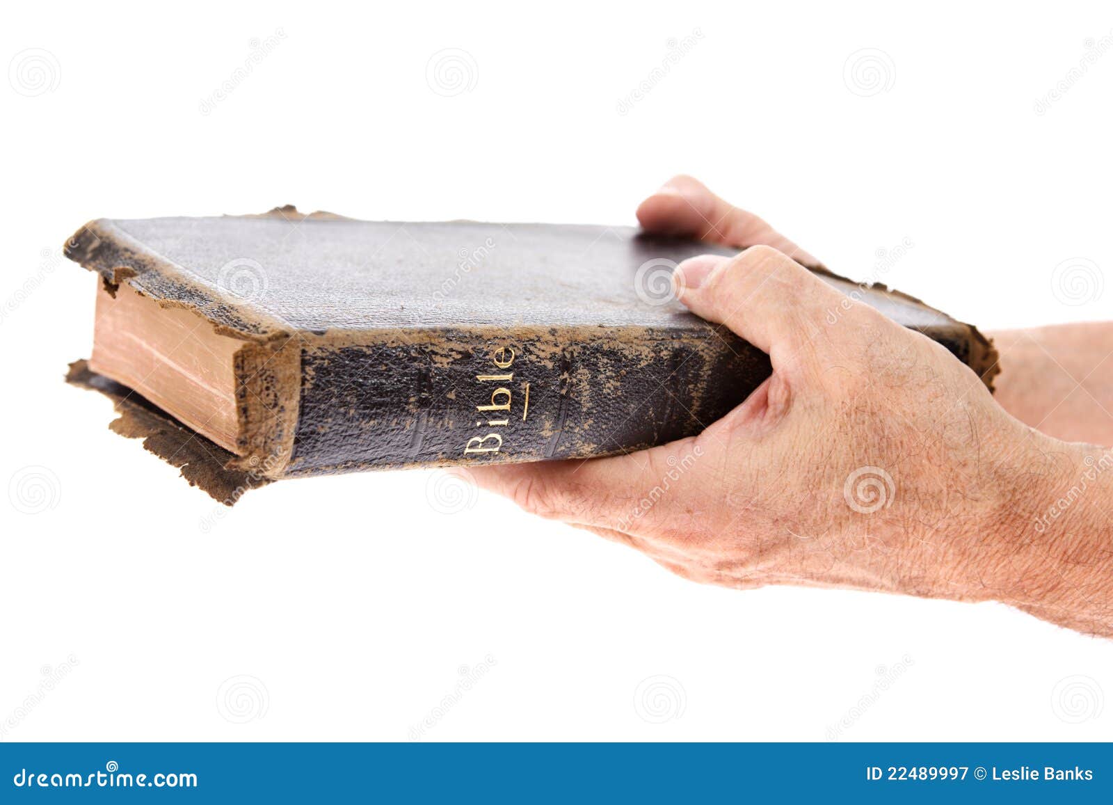 Hands giving Bible stock image. Image of hand, christianity - 22489997
